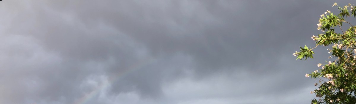 Sunshower – Melissa Kutsche